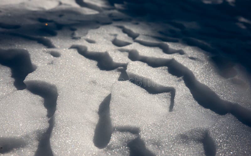 Winter Textures. Details of the Shapes that Winter Creates from Snow ...