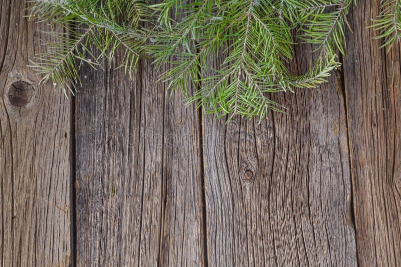 Winter Theme Banner for Place You Text Stock Photo - Image of ...