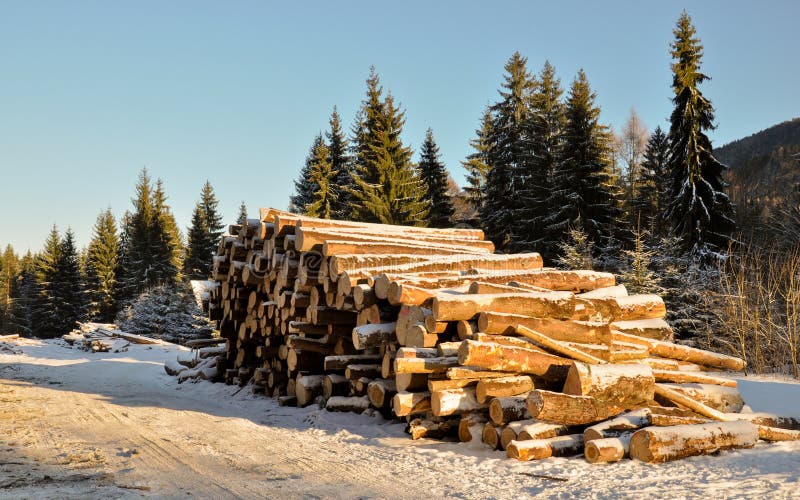 Winter Timber Logs before Transport To Lumber Mill Stock Image - Image ...