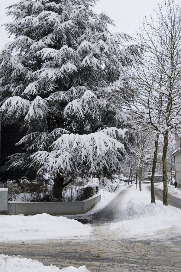 Winter Time stock image. Image of holiday, nature, wintertime - 12393027