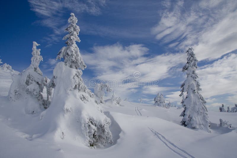Winter time in Czech stock image. Image of scenery, snow - 11333459