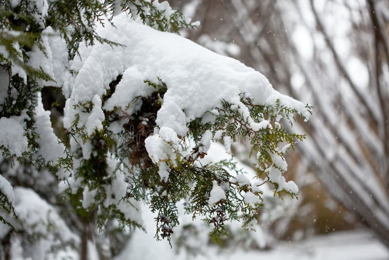 Winter time stock image. Image of winter, nature, weather - 40710897
