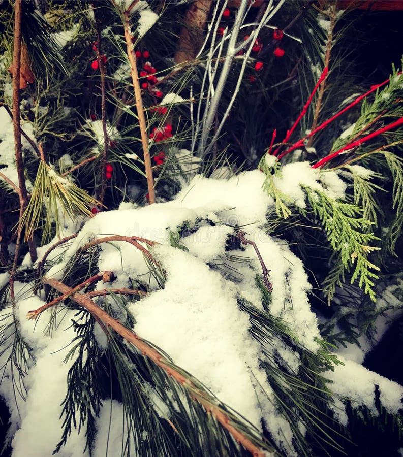 Snowing Tree Decoration stock image. Image of time, decoration - 141826699