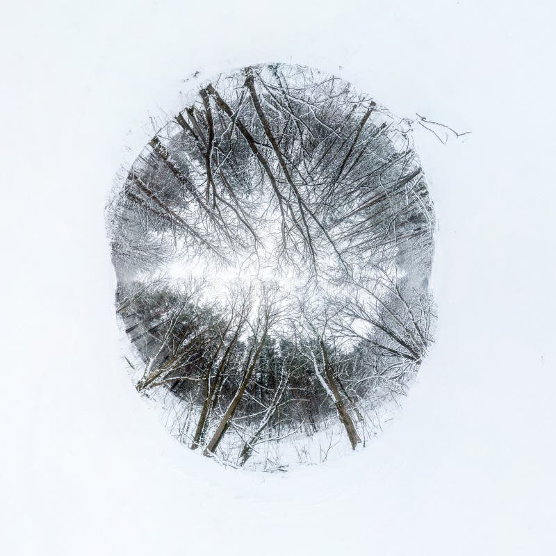 Winter Tiny Planet in Snow Covered Forest. Transformation of Spherical ...