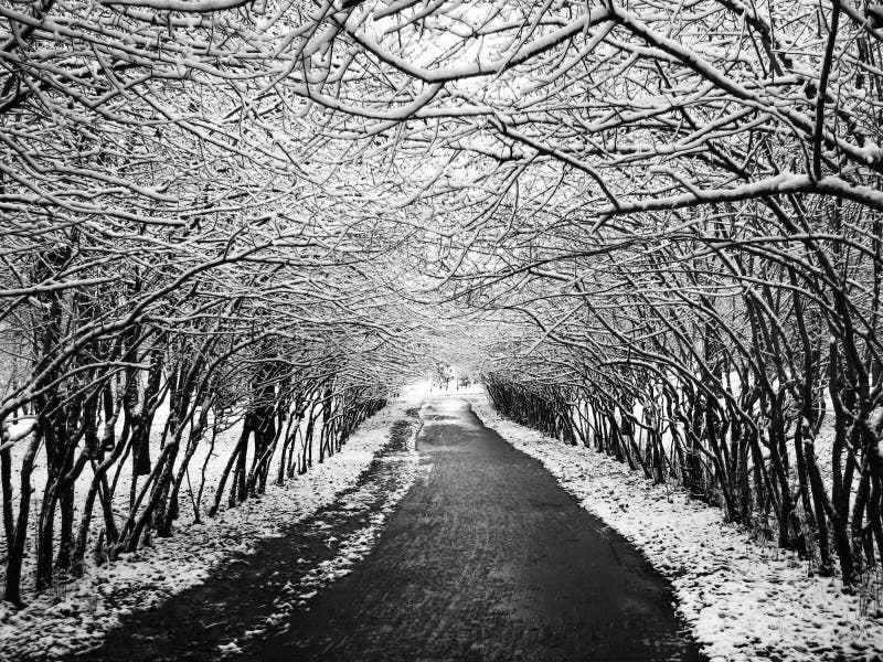 1,057 Inbetweening Stock Photos - Free & Royalty-Free Stock Photos from ...