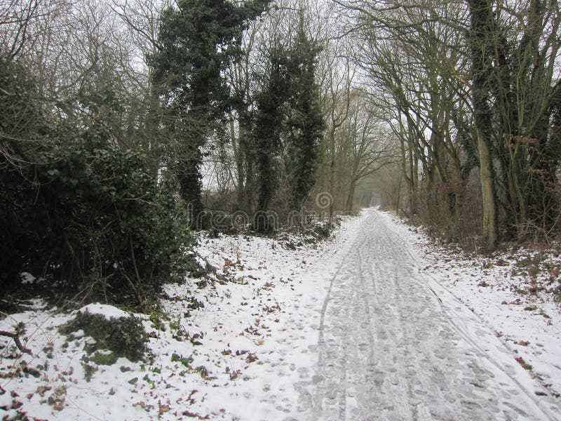 Winter Track stock photo. Image of path, cold, track - 111272392