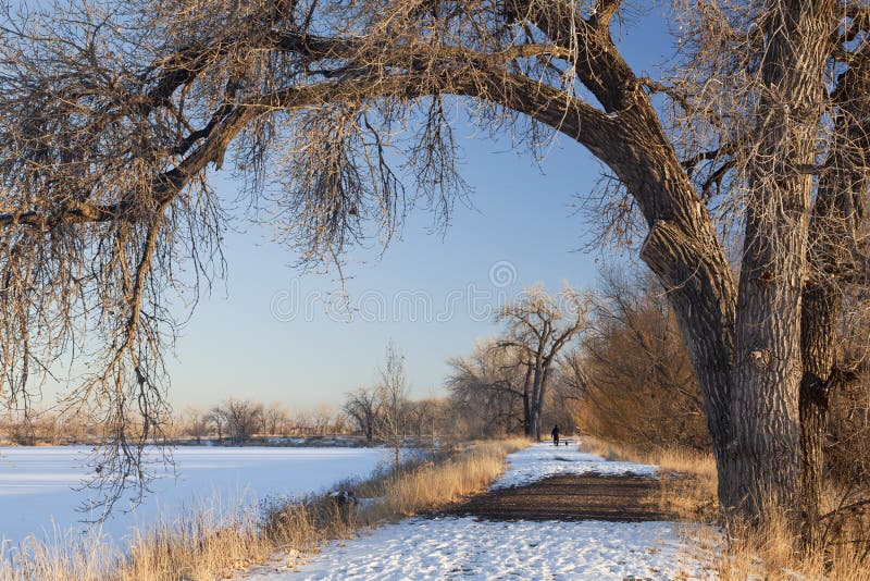 Winter trail stock photo. Image of tree, path, snow, colorado - 18389266