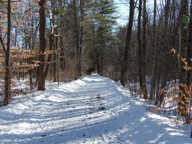 A Winter trail stock image. Image of sunshine, still - 211203005