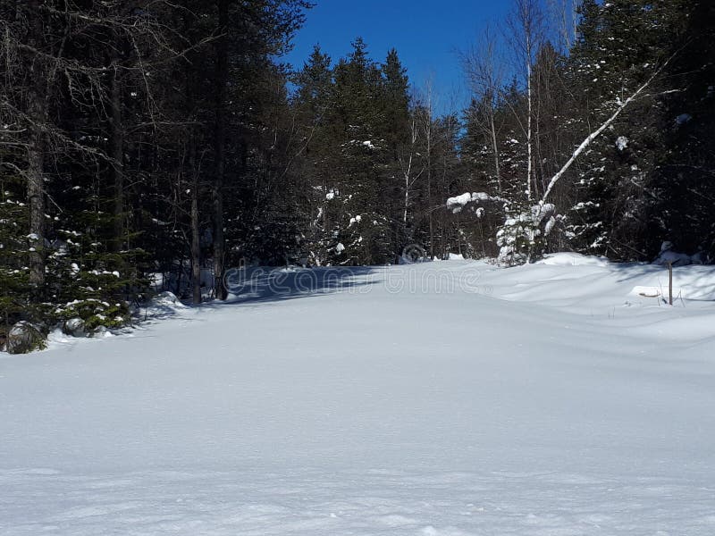 Winter Trails Fresh Snowfall Wallpaper Stock Photo - Image of ...