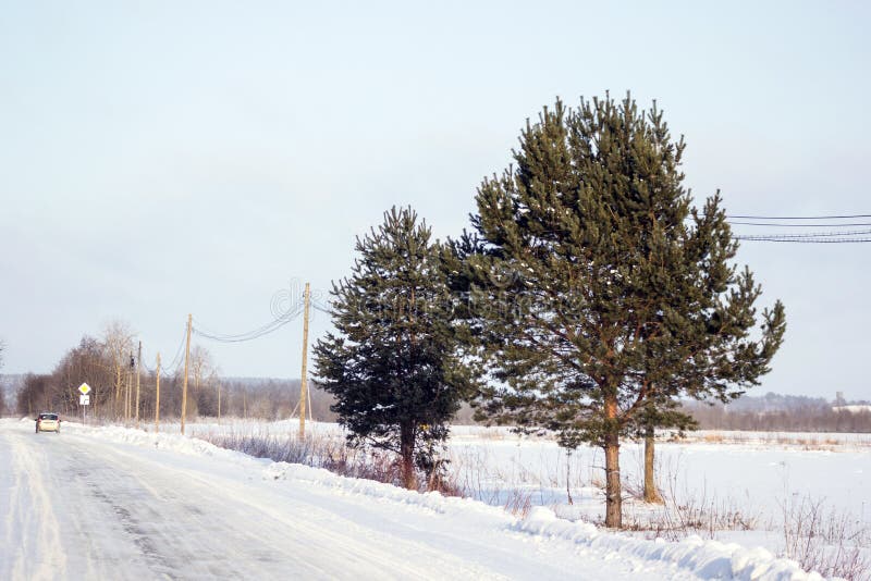 Winter tree in the field stock image. Image of boxes - 109148287
