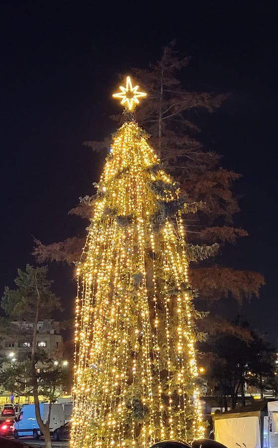 Winter Tree with Golden Lights . Stock Image - Image of golden, winter ...