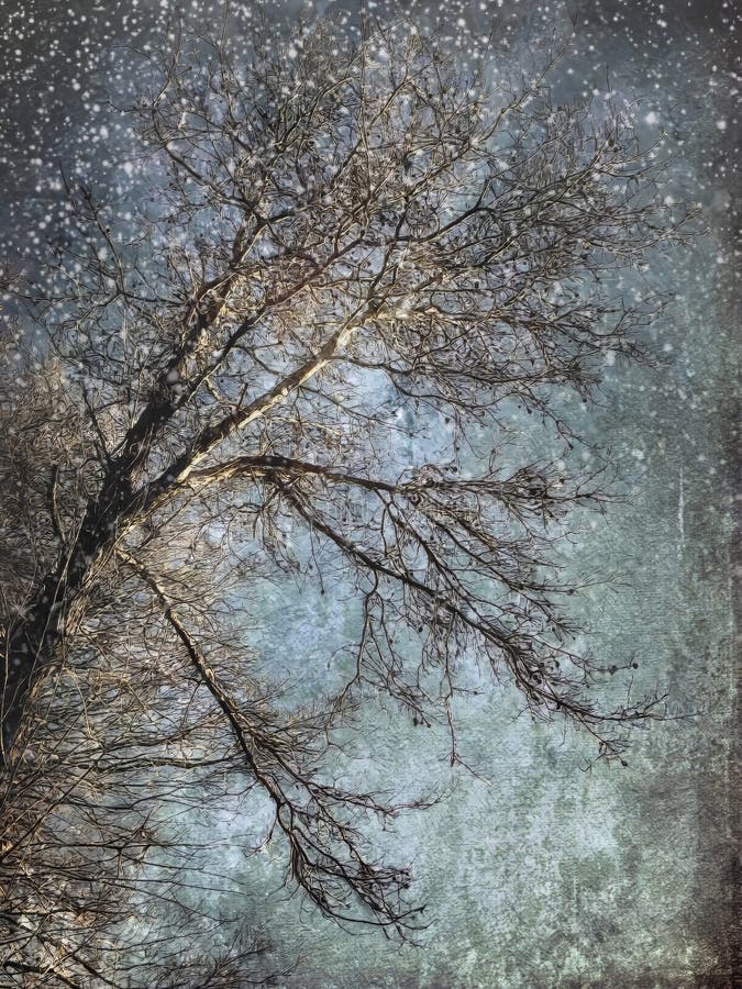 Winter Tree with Heavy Snowfall. Digital Art. Stock Illustration ...