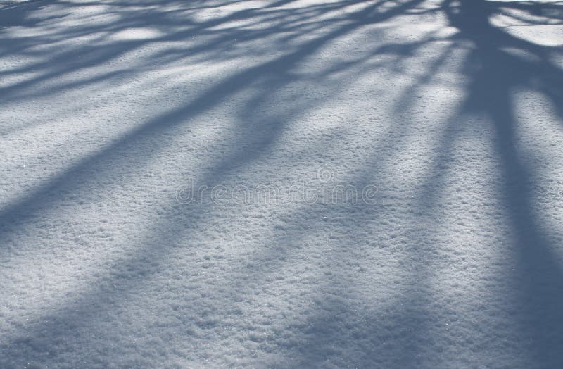 Winter Tree Shadows on a Snowy Plain Stock Image - Image of tree, flat ...