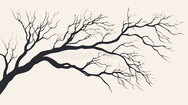 Winter Tree Silhouette Outline - Bare Branches Vector Illustration ...