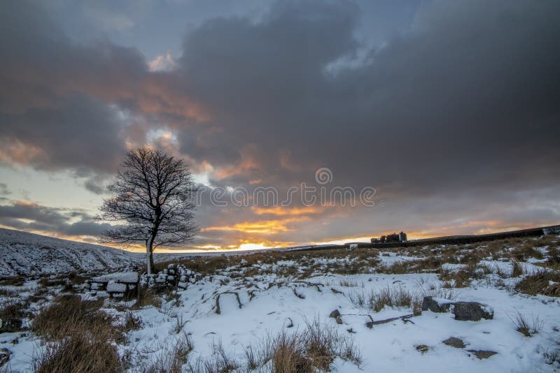 Winter tree at sunset stock photo. Image of landscape - 210221968