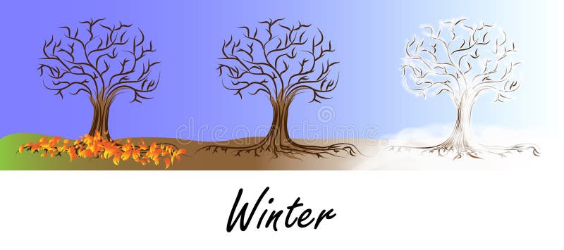 Winter tree transformation stock vector. Illustration of blue - 58165097