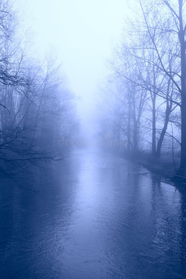 Dark Forest with Blue Fog and Lake Stock Photo - Image of misty ...