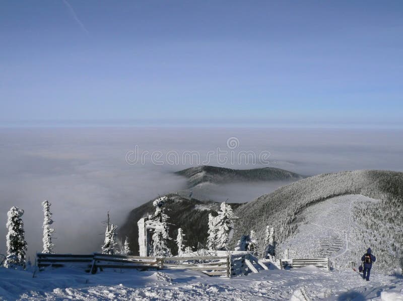 Winter Trees and Hills Covered by Snow Stock Image - Image of seasonal ...