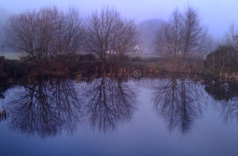 Winter Trees Reflected in Still Water Stock Image - Image of parkland ...
