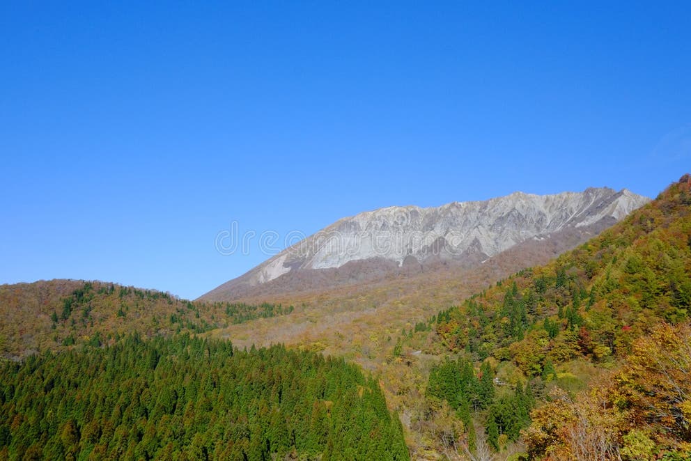 Winter trees. stock photo. Image of autumn, spot, tourist - 95234010