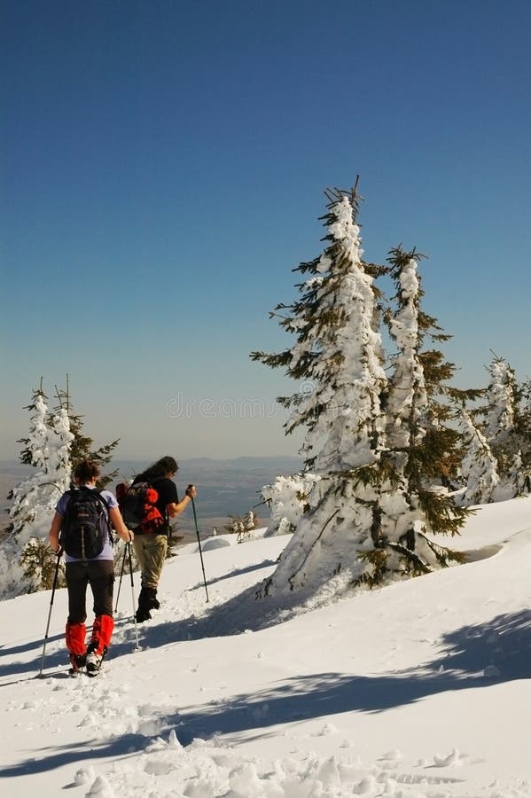 Winter trekking stock image. Image of pathway, hiking - 19098951
