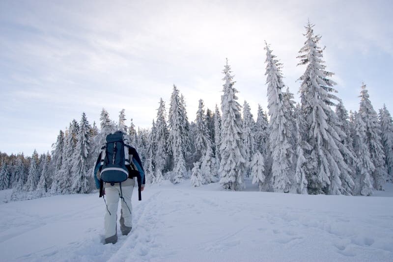 Winter trekking stock image. Image of season, landscape - 3908925