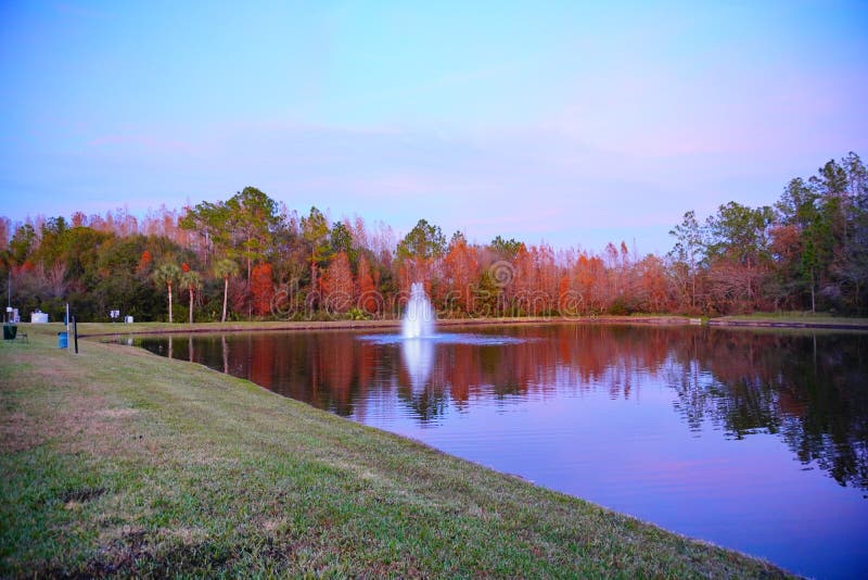Winter Tropical Tree Leaf and Pond Stock Image - Image of clearwater ...