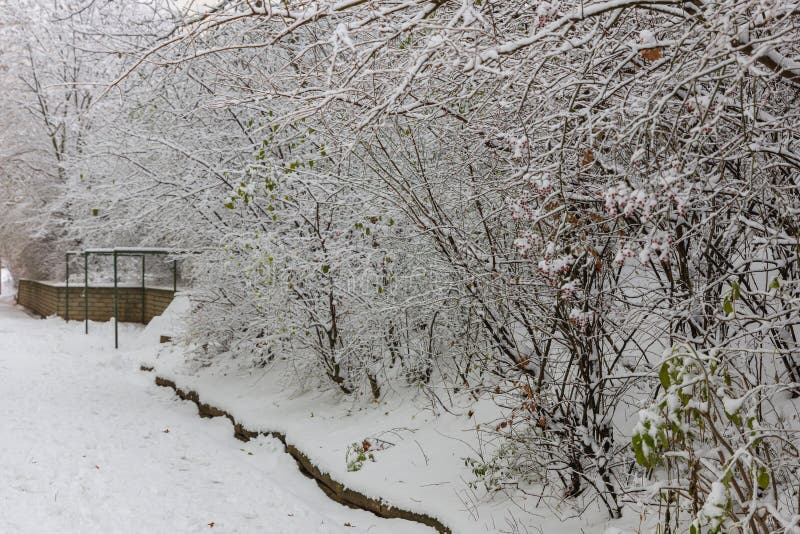 Winter Urban Landscape. Trees, Paths and Stairs Under Snow Stock Photo ...