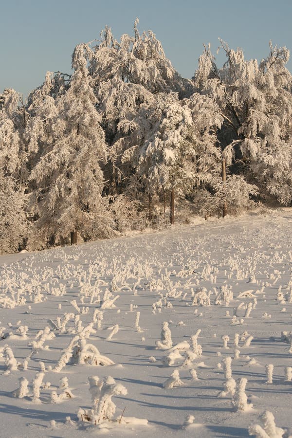 Winter vacation stock image. Image of field, january - 12715833