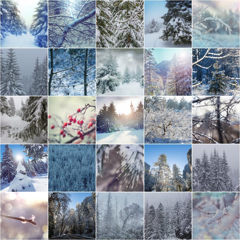 Winter collage stock photo. Image of forest, frosty - 136092780