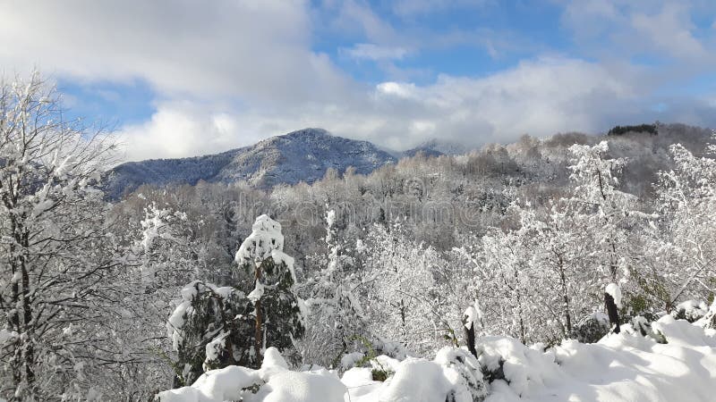 Winter valley stock image. Image of located, nature, simple - 96532787