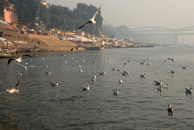 Winter in Varanasi editorial photography. Image of bridge - 25908737