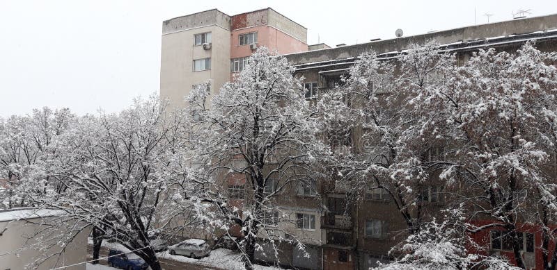 Winter View at the Balcony . Frozen Trees Stock Photo - Image of frozen ...