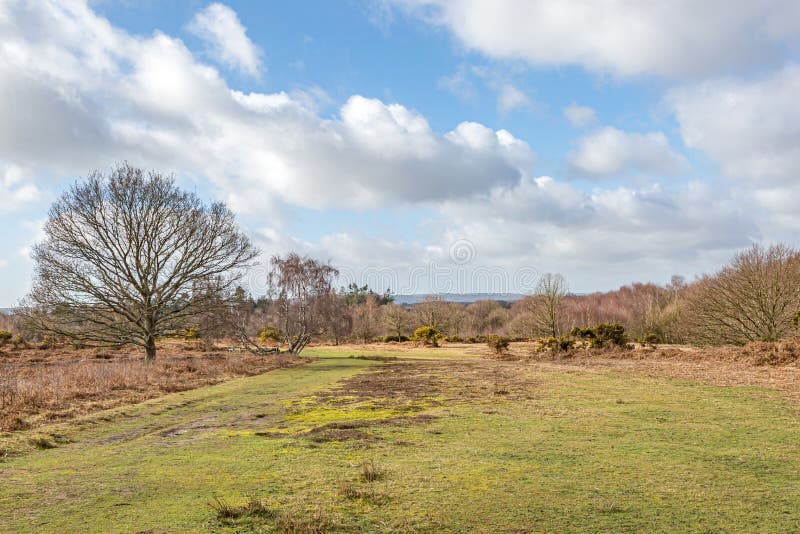 Chailey Common Landscape stock image. Image of bare - 141478993