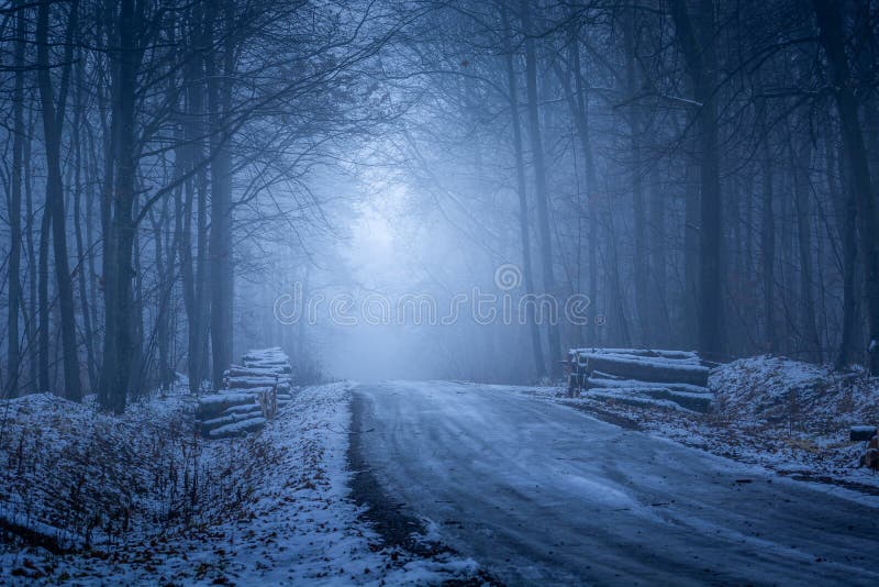 Winter View of the Dark and Misty Forest Stock Photo - Image of mystic ...