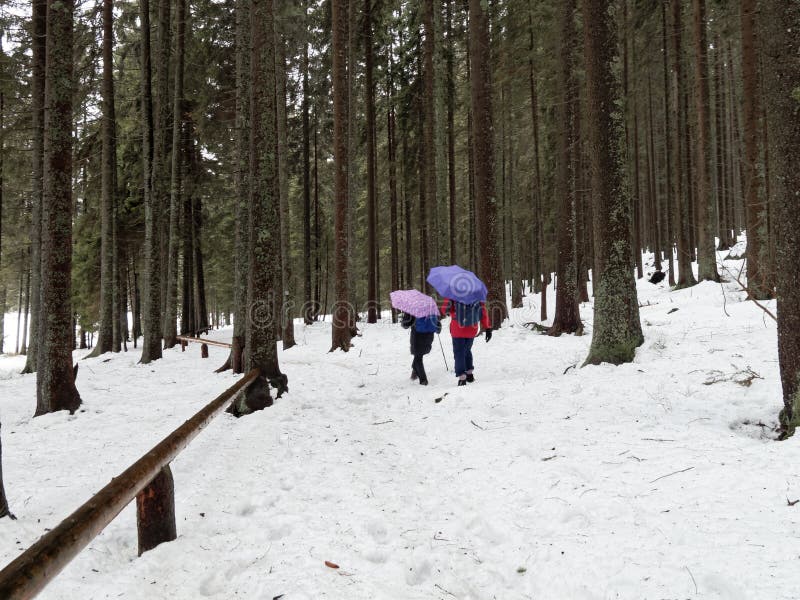 Winter View of 2 Hikers with Umbrella in Snow Stock Photo - Image of ...