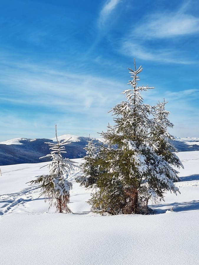 Winter view and nice snow stock image. Image of mountain - 242355343