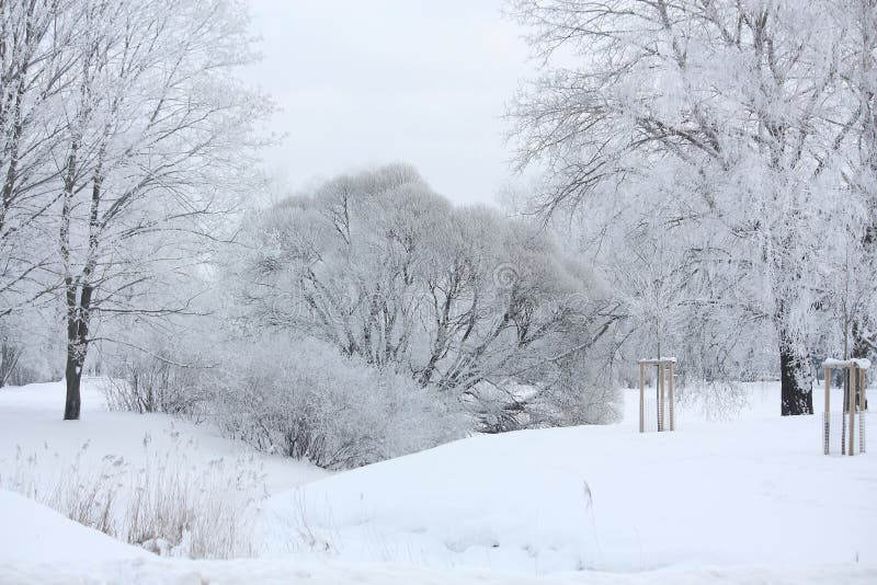 Winter view in the park stock photo. Image of beautiful - 47312242