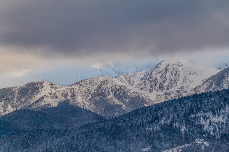 Winter View of Tatra Mountains, Pola Stock Photo - Image of poland ...
