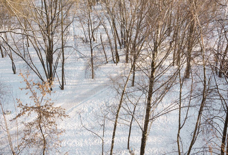 Winter. the View from the Windows on the Snow and Trees. Sunny Clear ...
