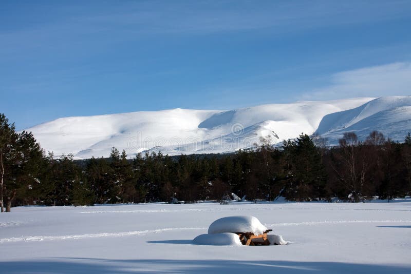 Winter Views at Aviemore stock photo. Image of scotland - 13498698