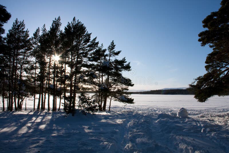 Winter Views at Aviemore stock image. Image of mountains - 13567109