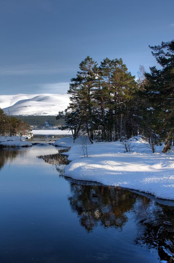 Winter Views at Aviemore stock image. Image of scotland - 13567197