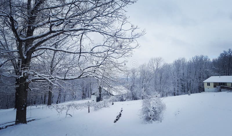 Winter in Virginia stock image. Image of calm, virginia - 88296537