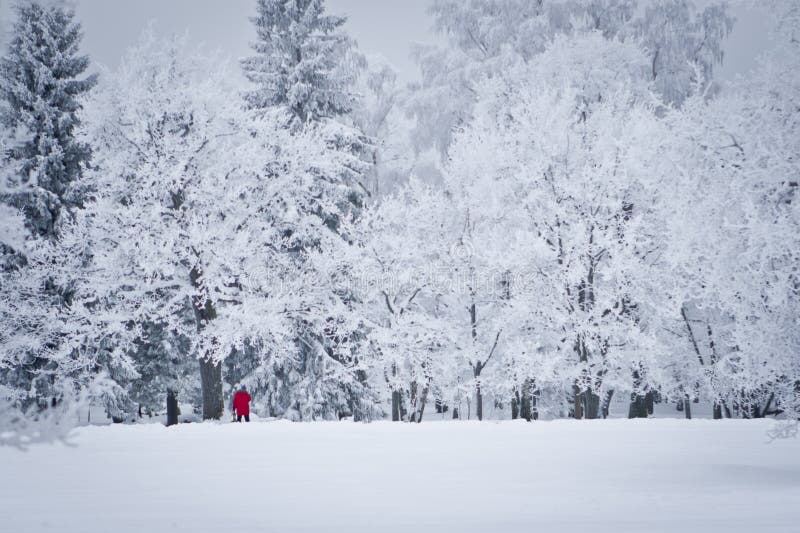 Winter Walk stock photo. Image of nature, landscape, water - 12539284