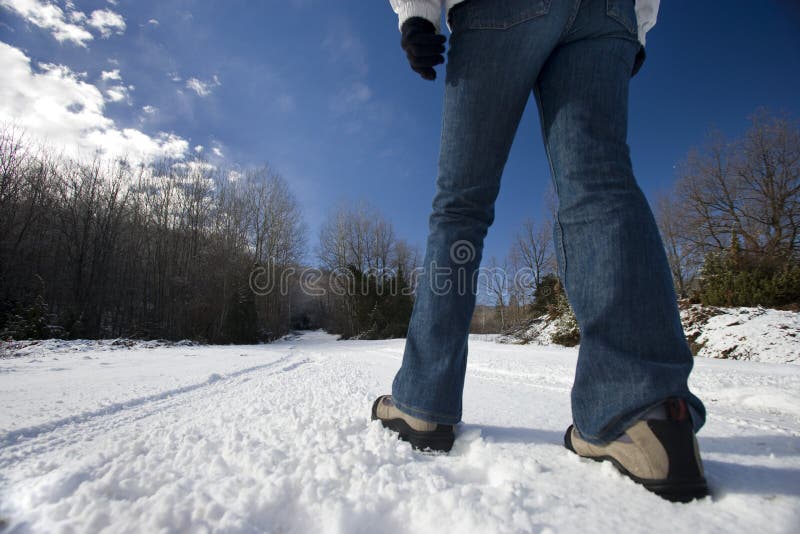 Tracks in fresh snow stock photo. Image of sunny, road - 37115588