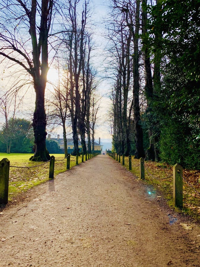 Winter walk stock image. Image of winter, lacy, walk - 166021603