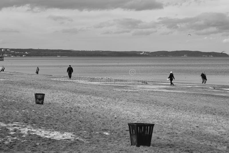 Winter Walk on a Sunny Day in February. Editorial Stock Image - Image ...