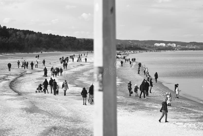 Winter Walk on a Sunny Day in February. Editorial Image - Image of ...