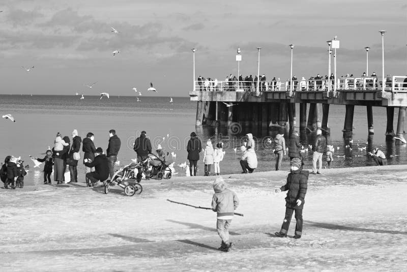 Winter Walk on a Sunny Day in February. Editorial Image - Image of ...